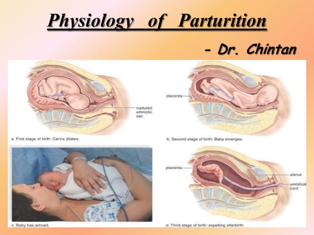 Physiology of parturition | PPTX
