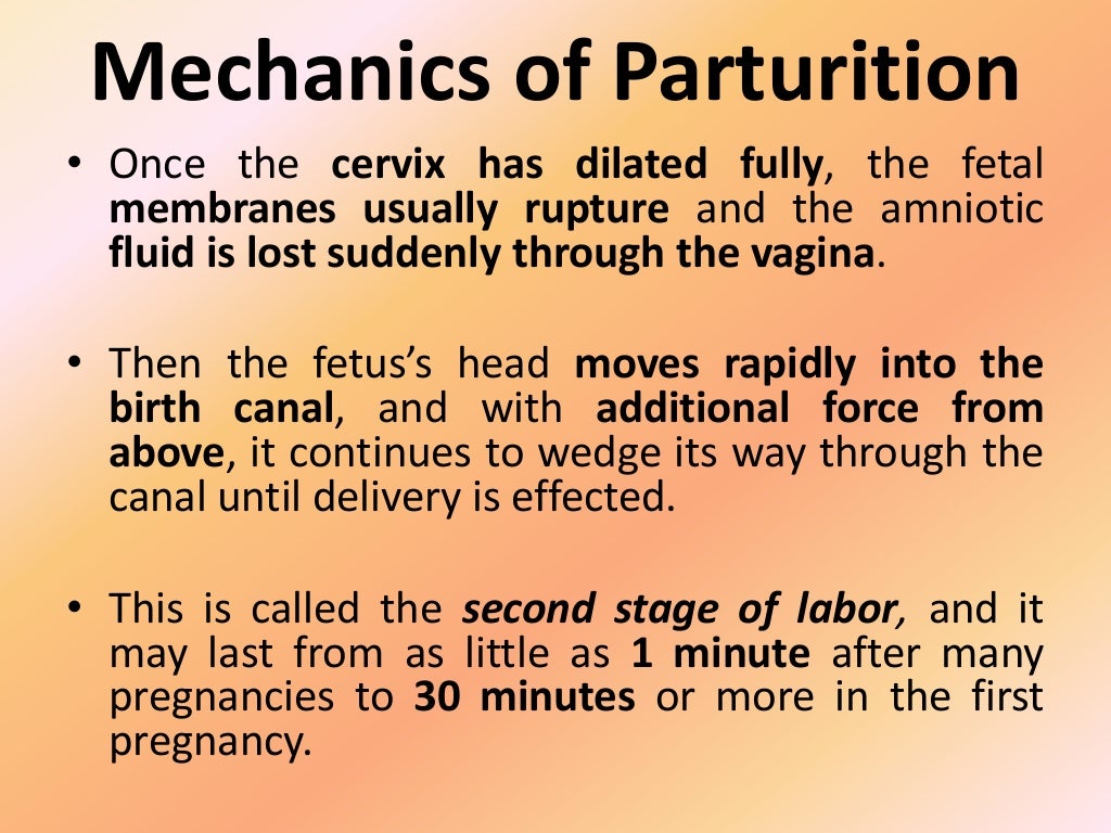Physiology of parturition