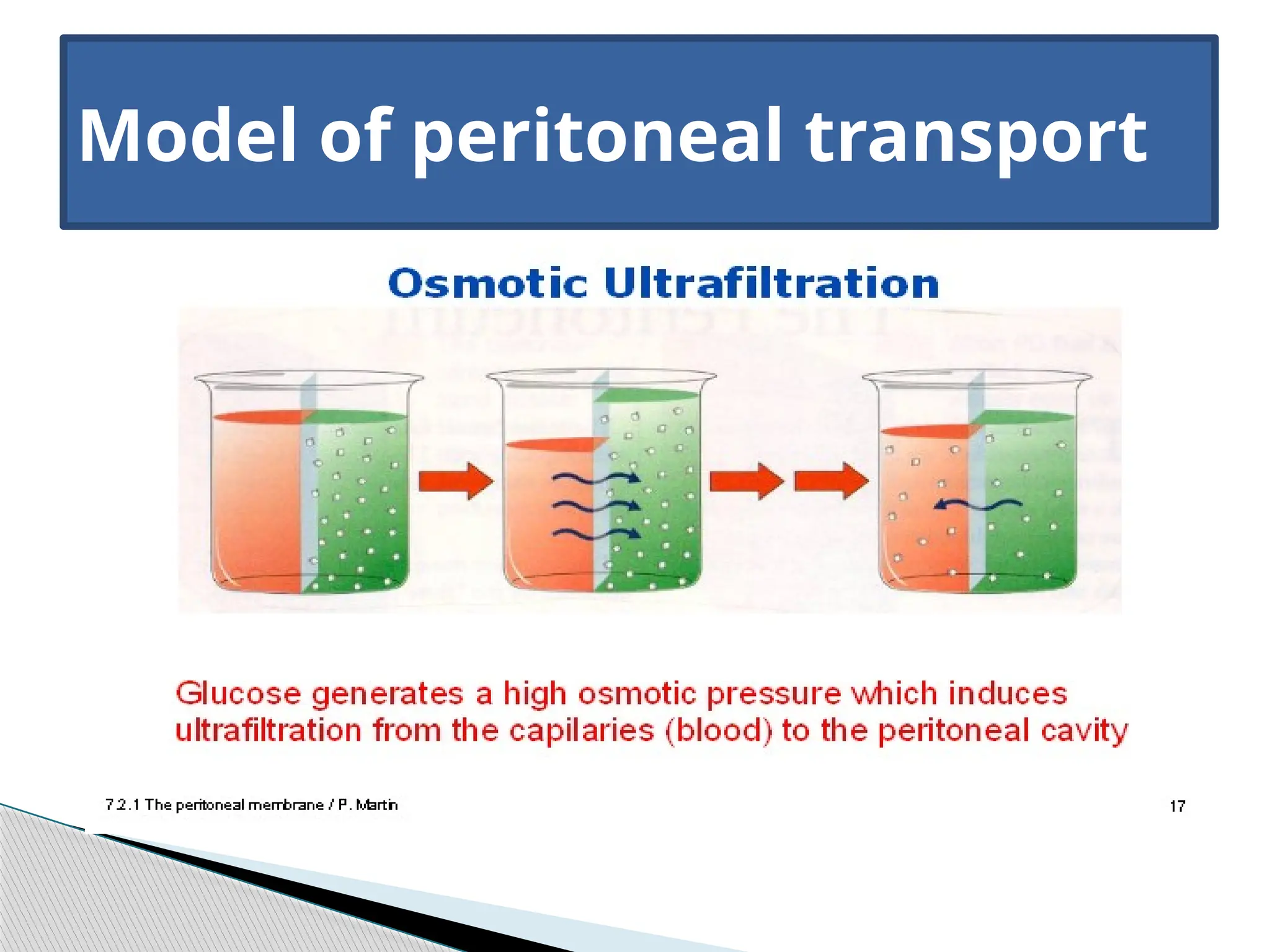 Physiology of the Peritoneal dialysis .pptx
