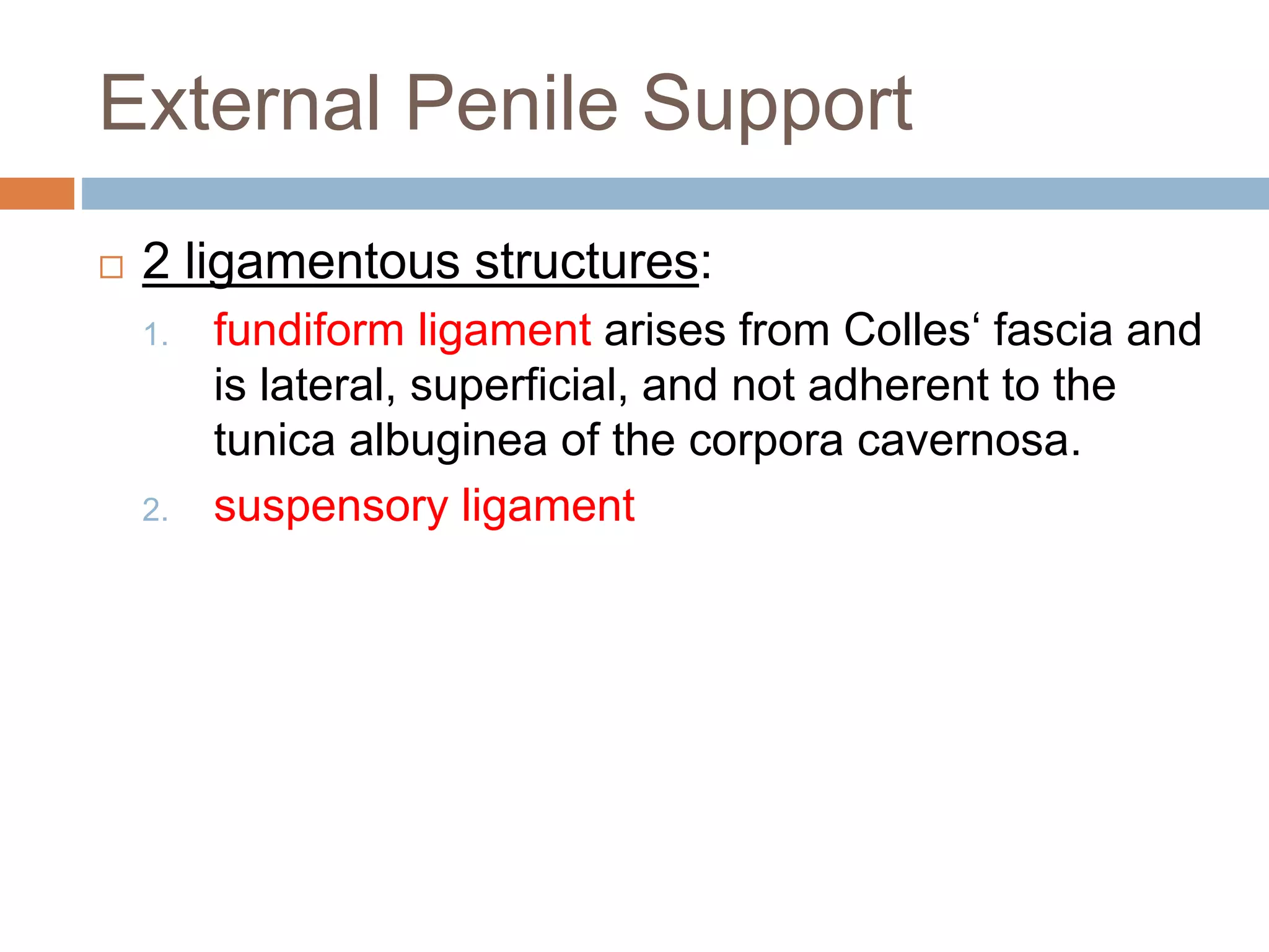 Physiology of penile erection, pathophysiology evaluation & management ...