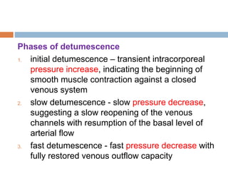 Physiology of penile erection, pathophysiology evaluation & management ...