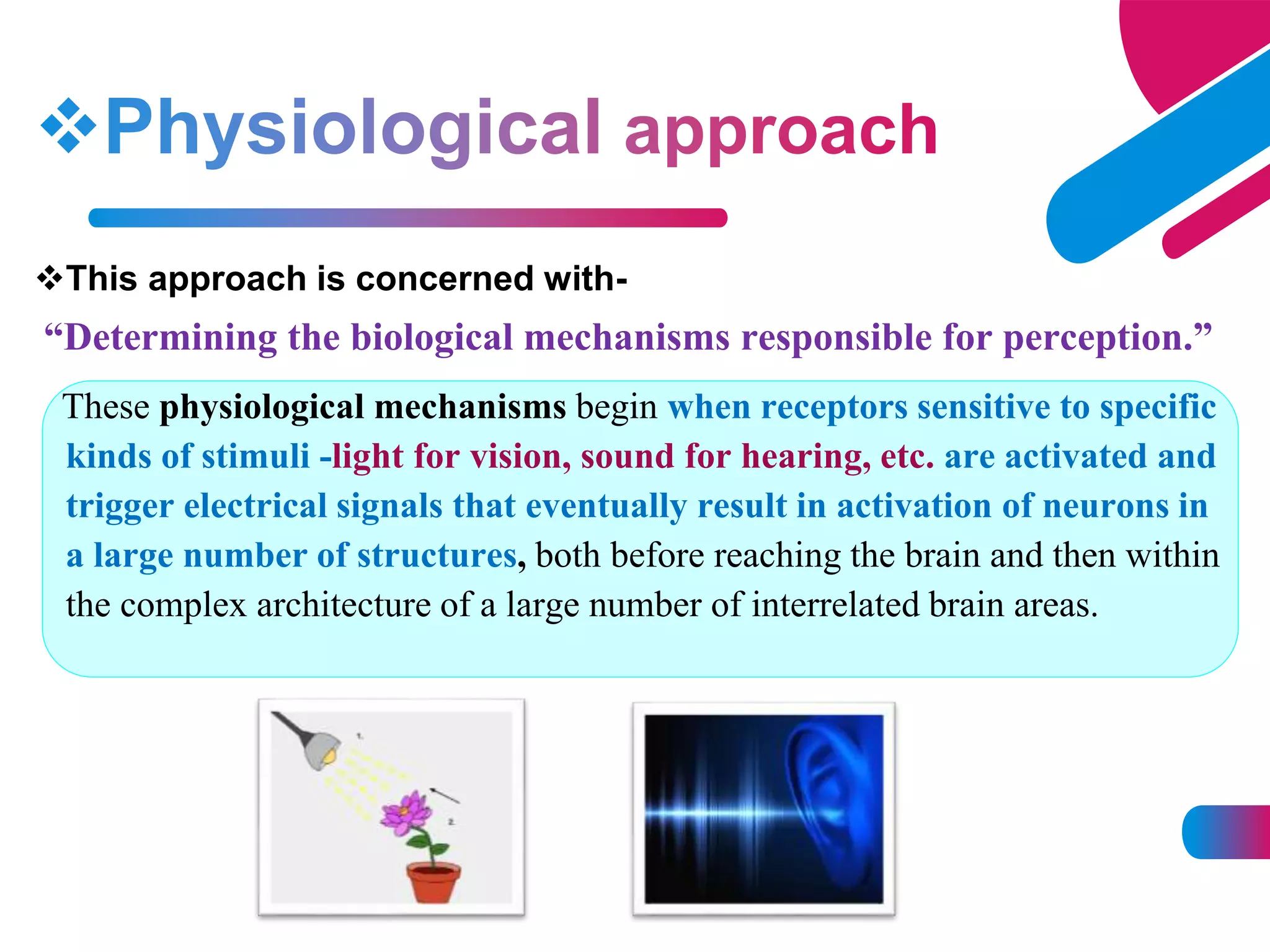 Physiology of perception | PPTX