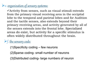 Physiology of perception | PPTX