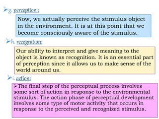 Physiology of perception | PPTX