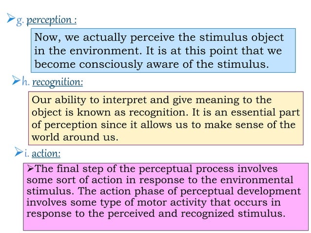 Physiology of perception | PPTX