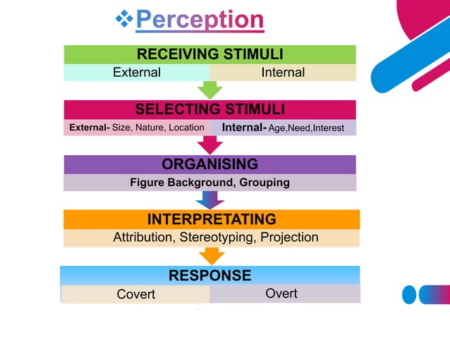 Physiology of perception | PPTX