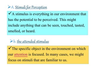 Physiology of perception | PPTX