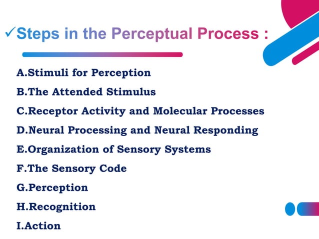 Physiology of perception | PPT