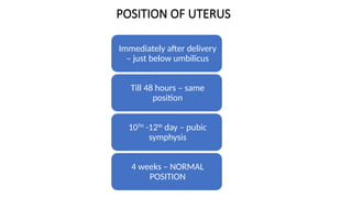 PHYSIOLOGY OF PEURPERIUM clinical aspects.pptx