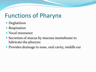 Physiology of pharynx | PPT