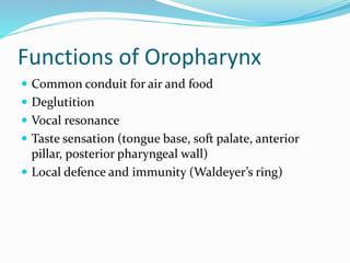 Physiology of pharynx | PPT