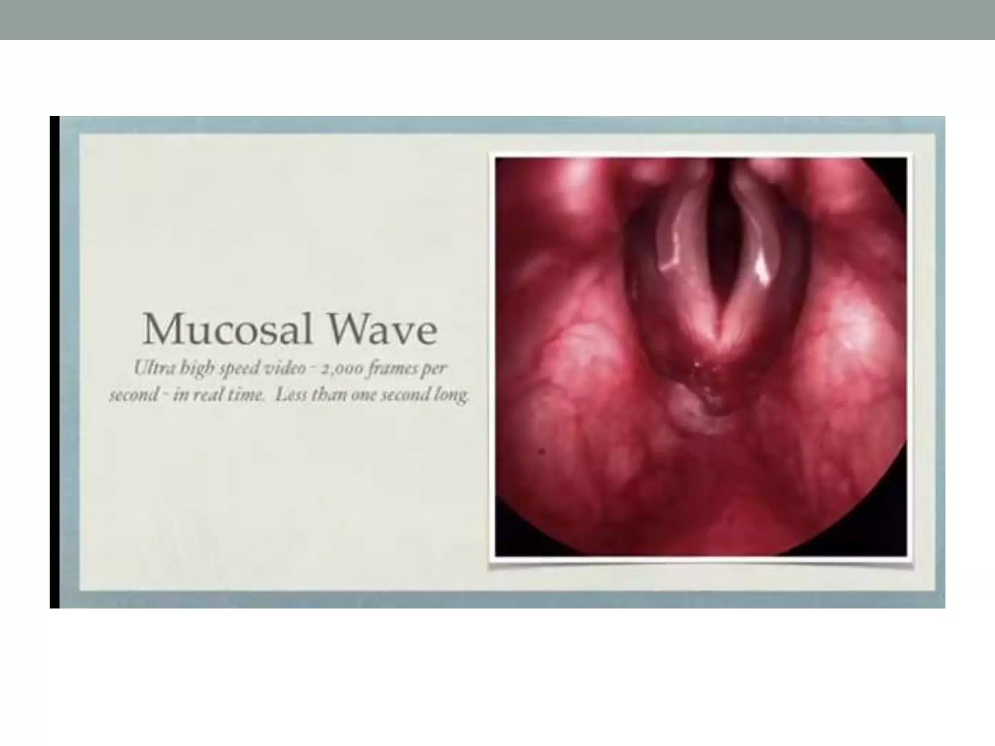 Physiology of phonation by Dr. Farhat Khan | PPTX