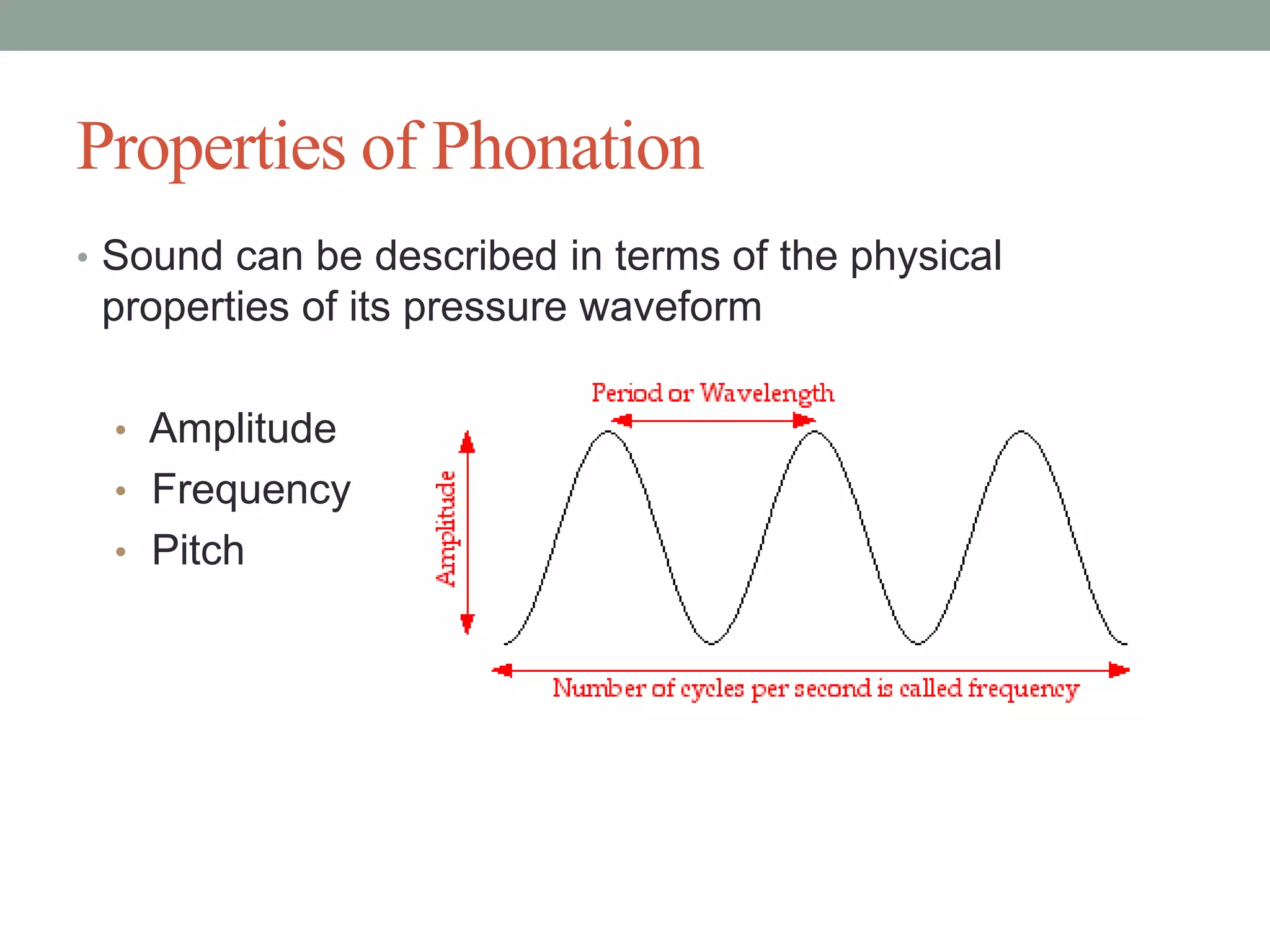 Physiology of phonation by Dr. Farhat Khan | PPTX
