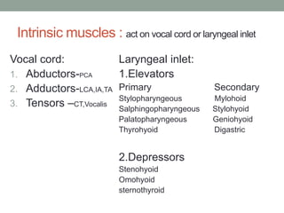 Physiology of phonation by Dr. Farhat Khan | PPTX
