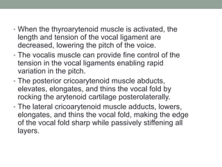 Physiology of phonation by Dr. Farhat Khan | PPTX