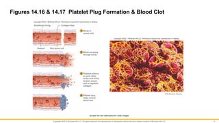 Physiology of Platelets and Coagulation Factors-1.pptx