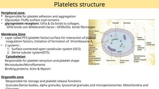 Physiology of Platelets and Hemostasis .pptx