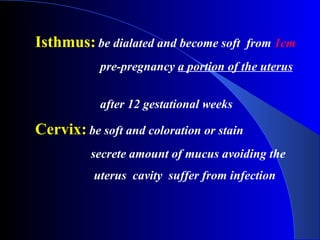 Physiology of pregnancy | PPT