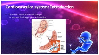 Physiology of pregnancy. cardiovascular, respiratory and hematology | PPTX