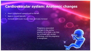Physiology of pregnancy. cardiovascular, respiratory and hematology | PPTX