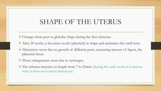 PHYSIOLOGY OF PREGNANCY.pdf