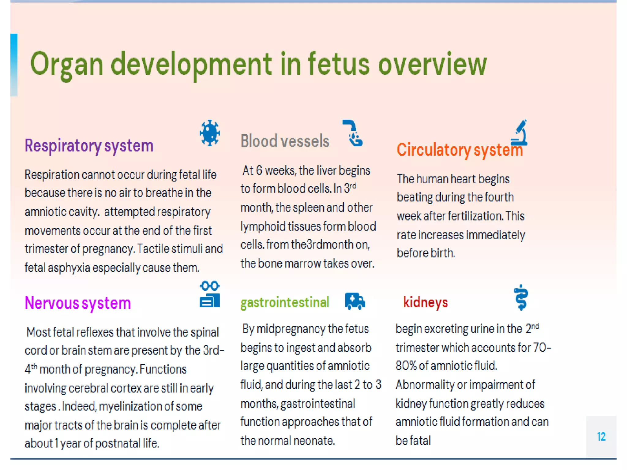 Physiology of pregnancy.pptx