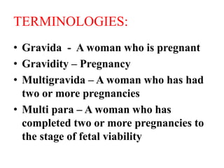 Pregnancy Physiology: A Complete Overview | PDF