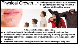 physiology of puberty.pptx