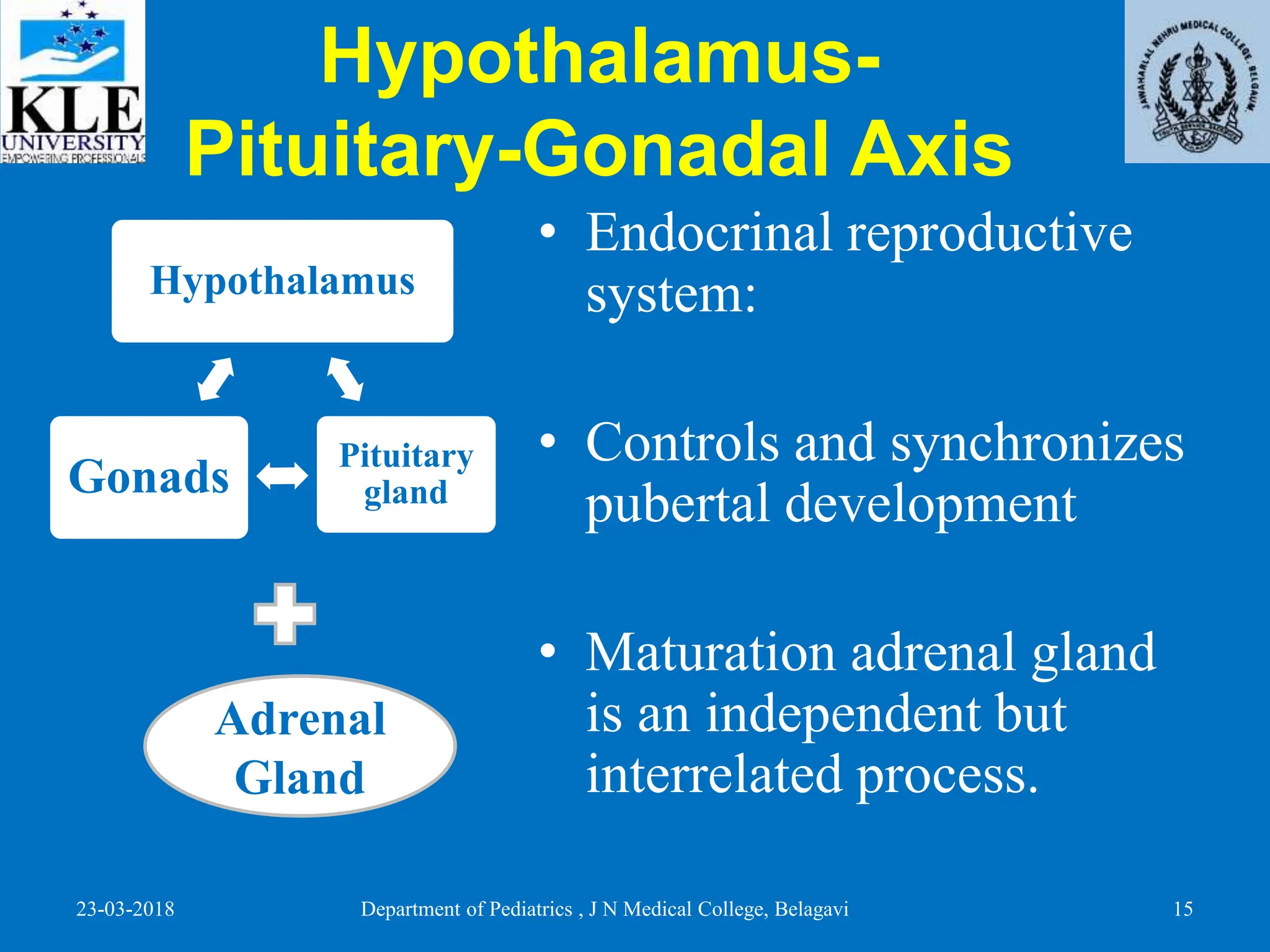 An overview of physiology of puberty.pdf