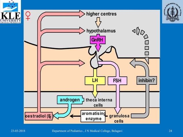An overview of physiology of puberty.pdf