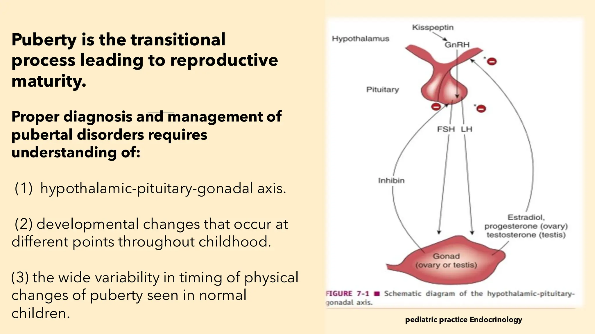 Physiology of Puberty - Razan Yassir Mohamed - paediatrician | PDF