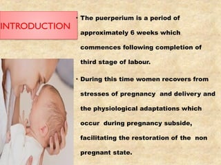 seminar on physiology of puerperium.pptx