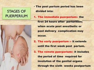 seminar on physiology of puerperium.pptx