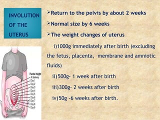 seminar on physiology of puerperium.pptx