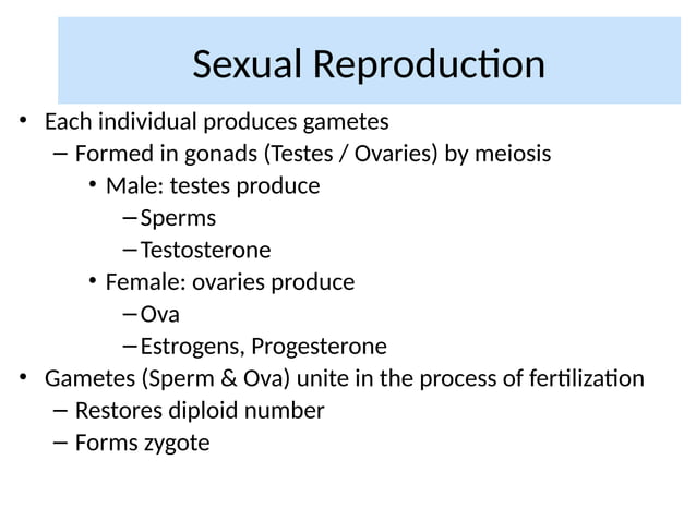 Msle and female physiology of reproduction | PPT