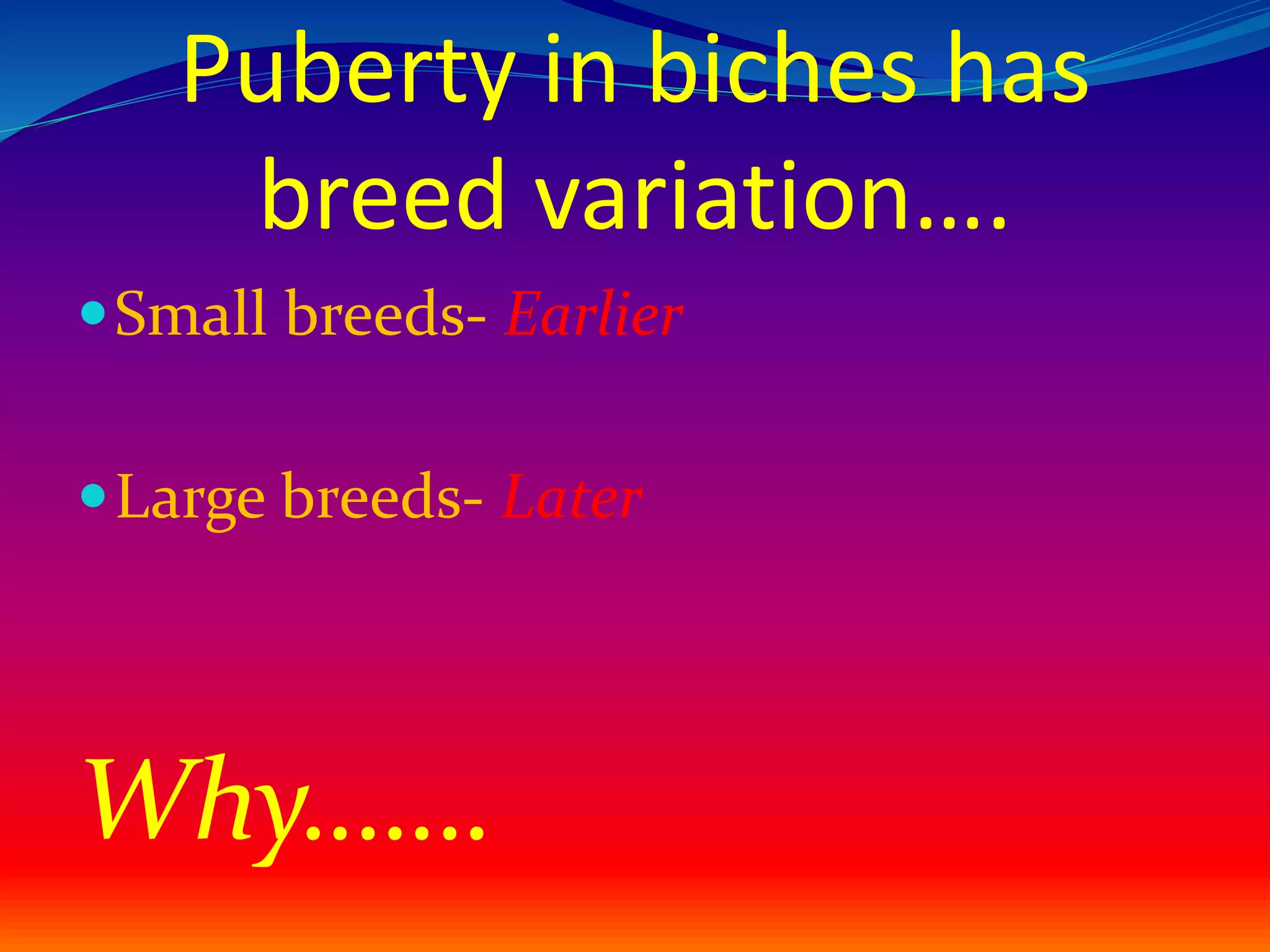 physiology of reproduction in canine.pptx