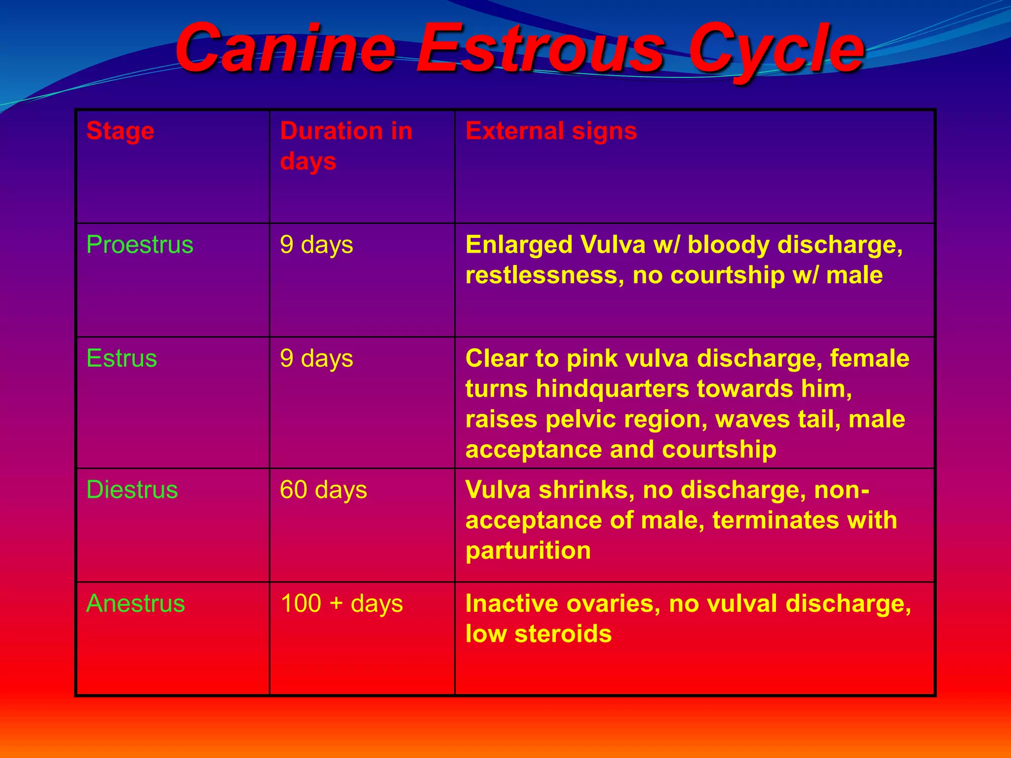 physiology of reproduction in canine.pptx