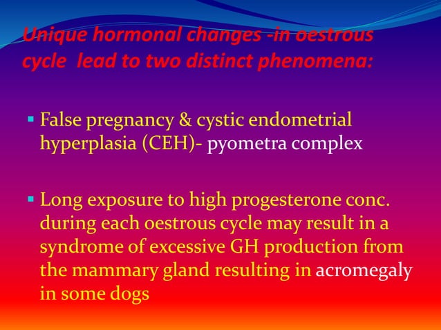 physiology of reproduction in canine.pptx