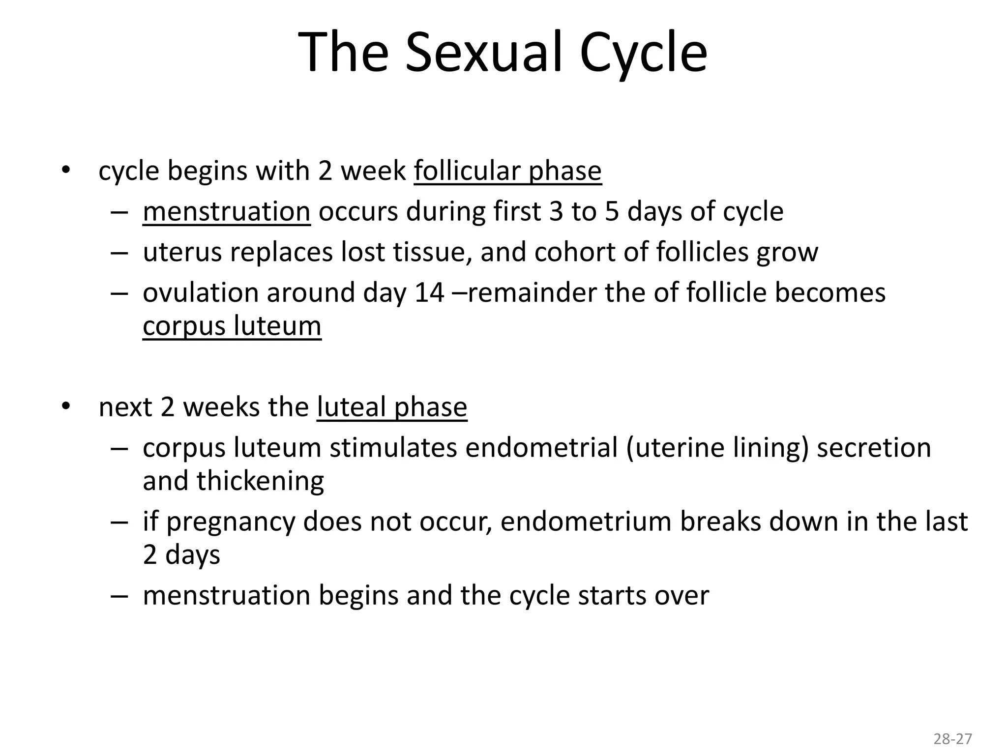 Physiology of reproduction system | PPT