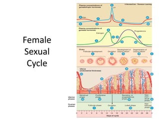 Physiology of reproduction system | PPT