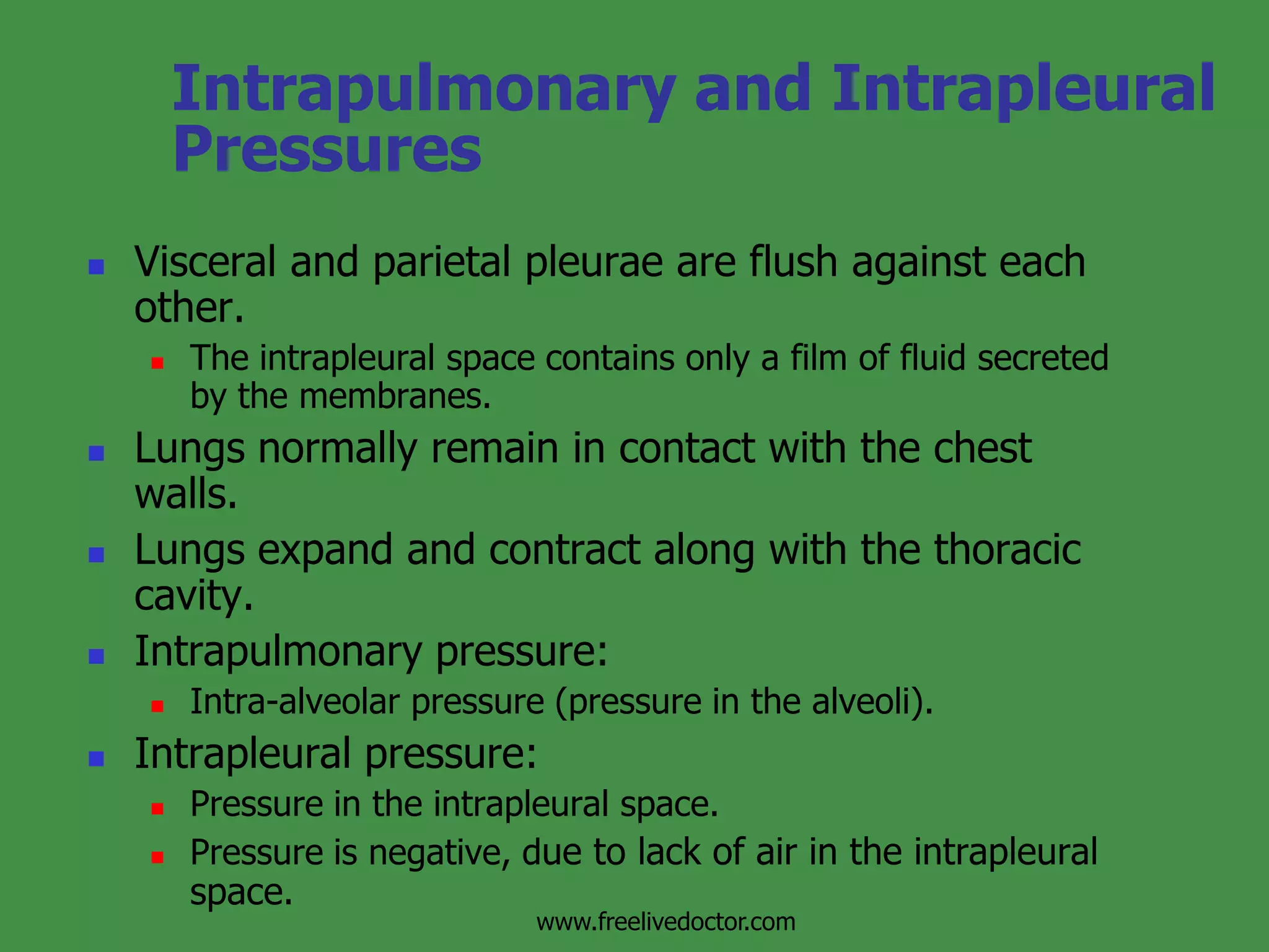 Physiology Of Respiration | PPT