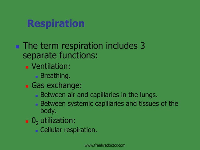 Physiology Of Respiration | PPT | Lung and Respiratory Health ...