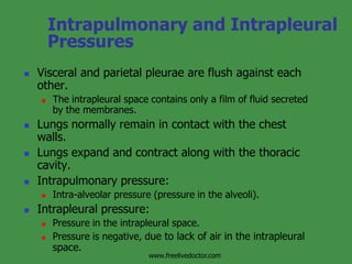 Physiology Of Respiration | PPT