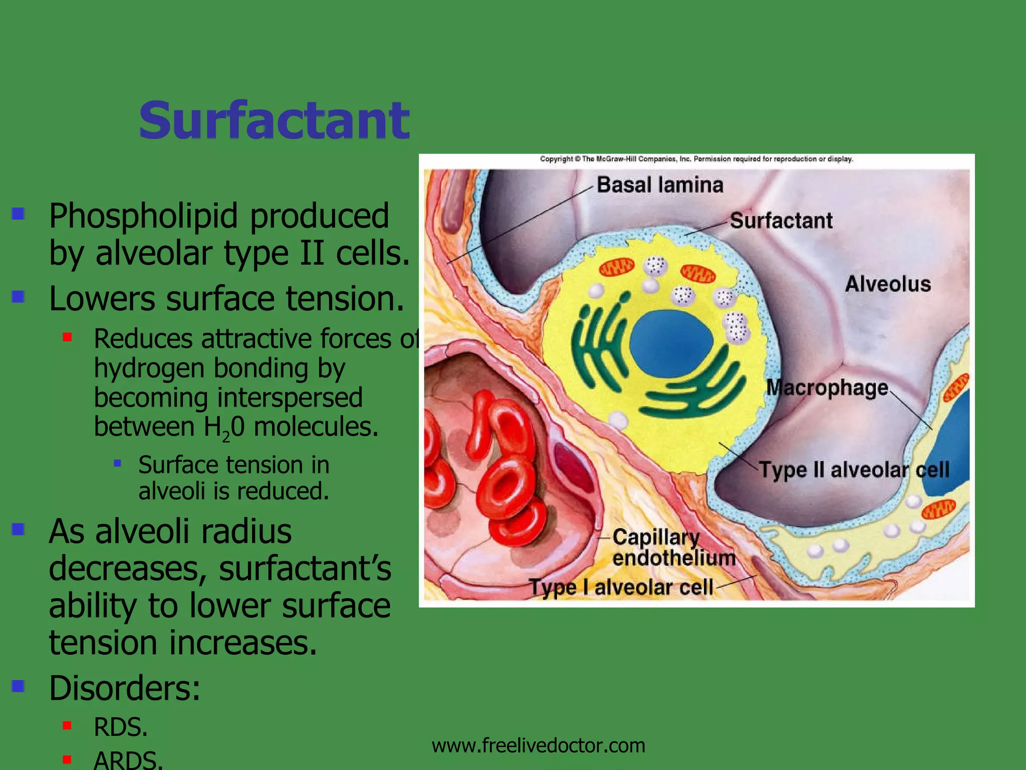 Physiology Of Respiration | PPT