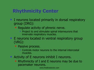 Physiology Of Respiration | PPT