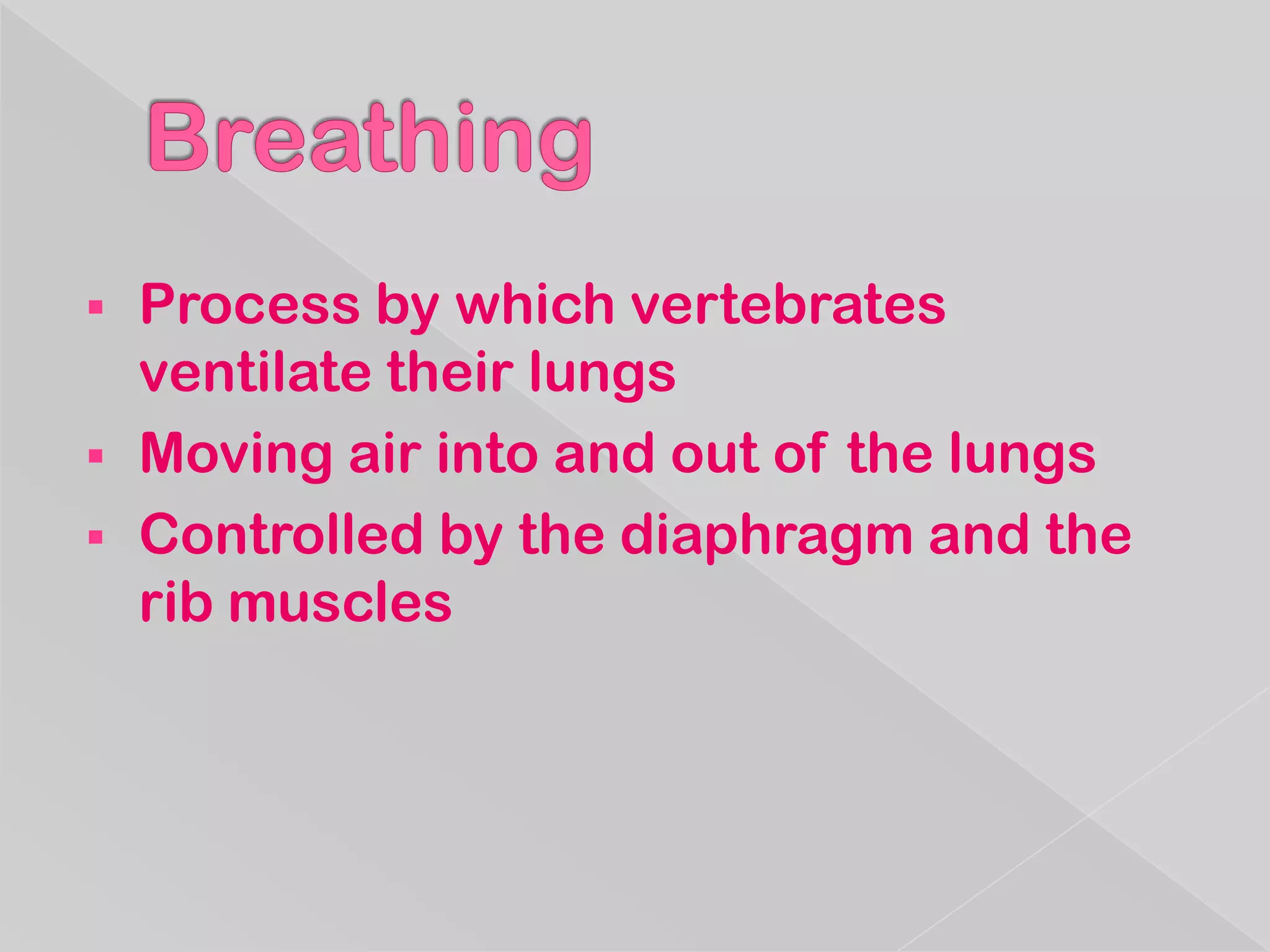 Physiology of respiration | PPTX