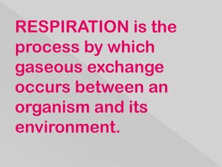 Physiology of respiration | PPT