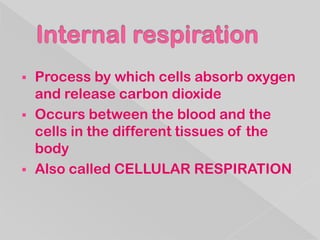 Physiology of respiration | PPTX