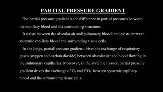 Physiology of respiration | PPTX | Lung and Respiratory Health ...