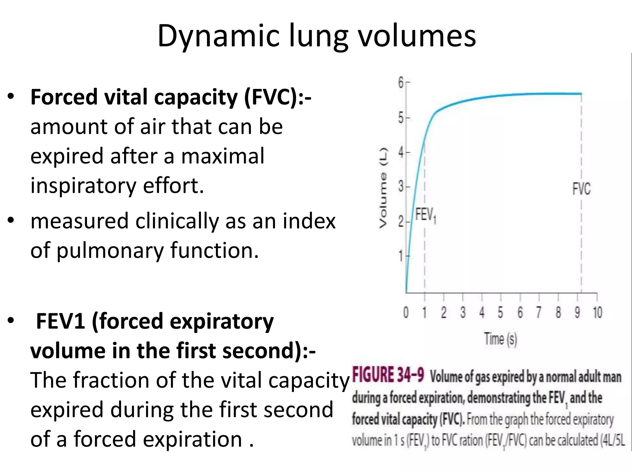 Physiology of respiration | PPTX